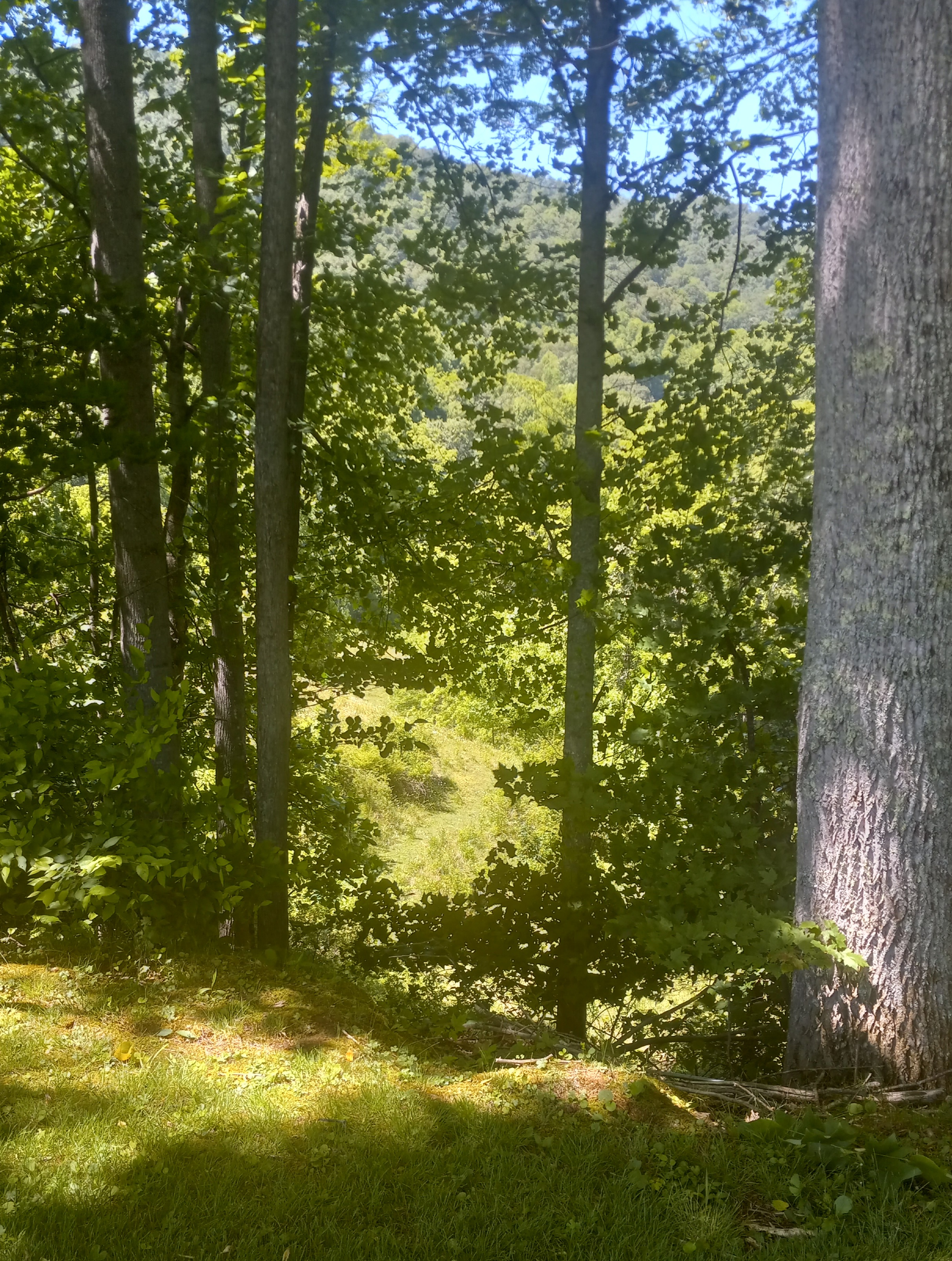 William Edwin McKee II - Jackson Funeral Service